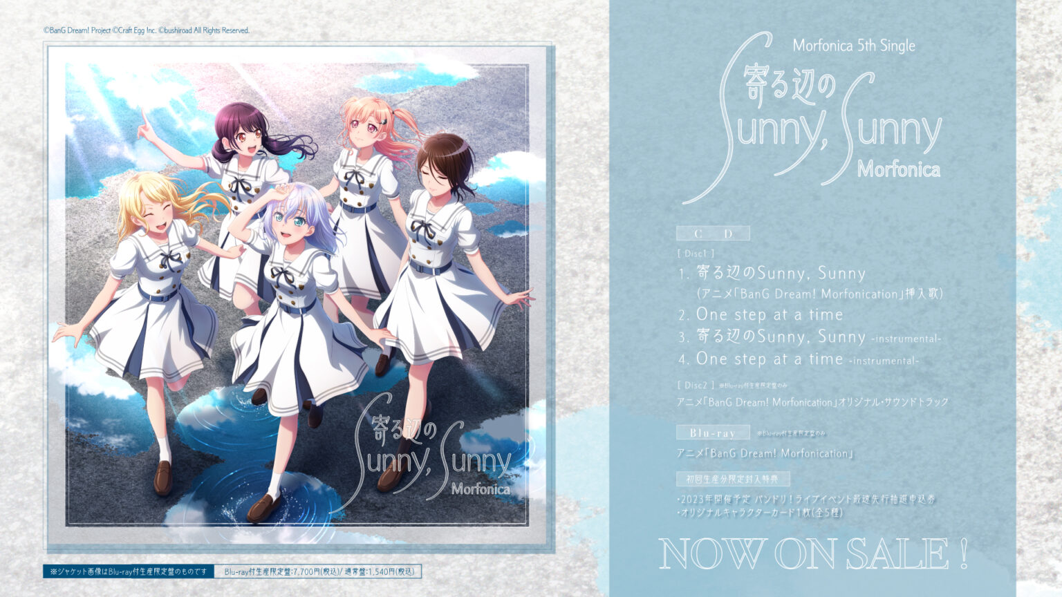 バンドリ10thライブ Morfonica「Reverberation」セトリ・写真到着！ | anichoice